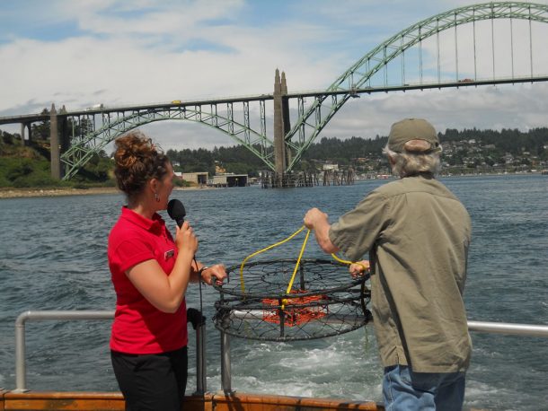 Gallery – Marine Discovery Tours